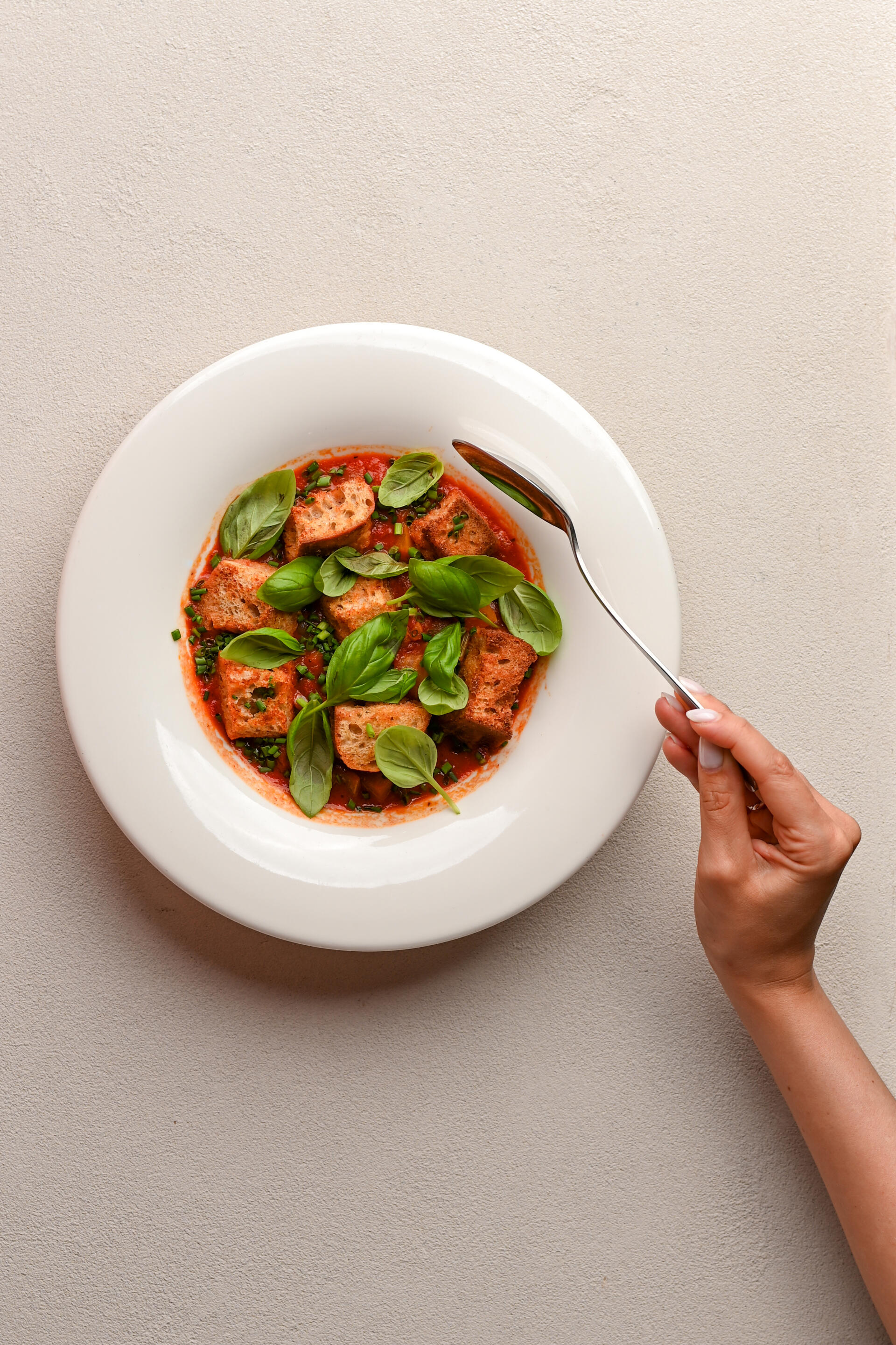 🍽️ Pod Papugami Restaurant & Cocktail, Wrocław - booking table online w ...